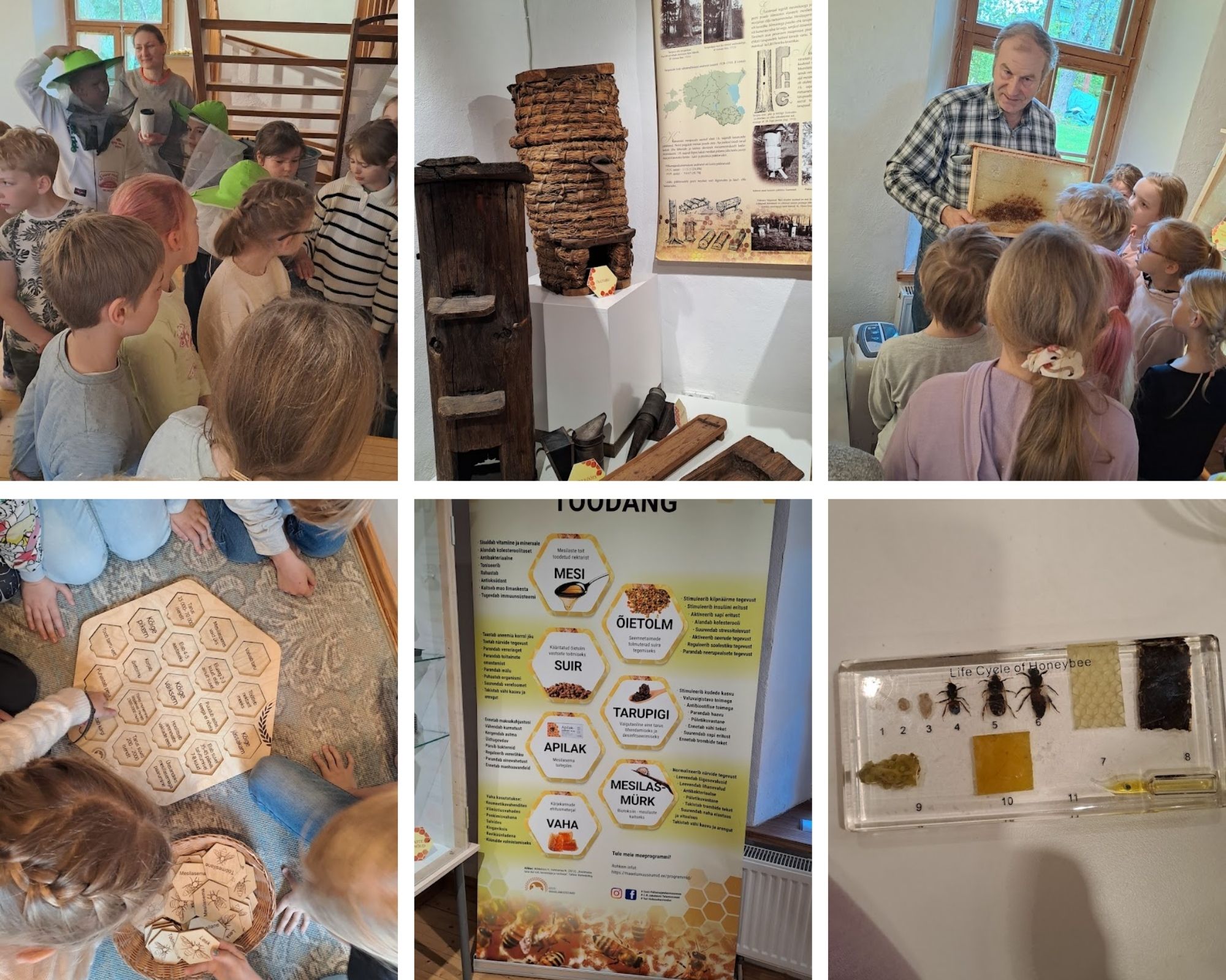 OSKAR LUTSU PALAMUSE PÕHIKOOL – OLPP